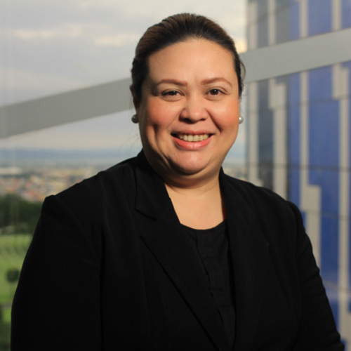 DelRosarioLaw - Attorneys